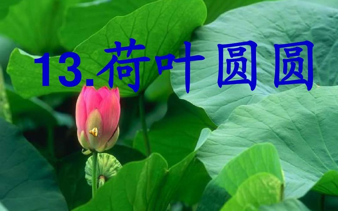 一下:《荷叶圆圆》(含课件教案) 名师优质课 公开课 教学实录 小学语文 ...