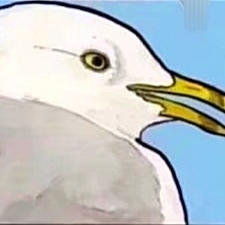 -去码头整点薯条- 