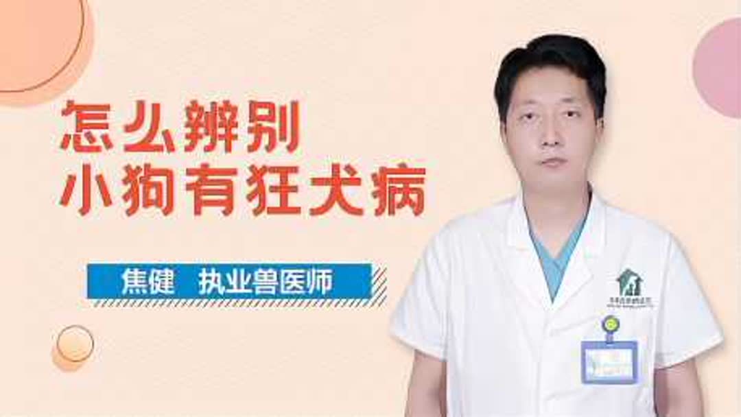 怎么辨别小狗有无狂犬病?