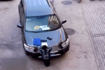 【安徽】一小学生在轿车旁捡到钱包 趴引擎盖边写作业边等失主