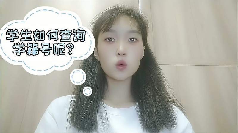 学生学籍号怎么查询?