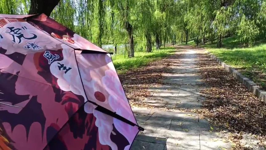 各种伞式各种选,总有一款适合您!ߘ�ߘ�ߘ