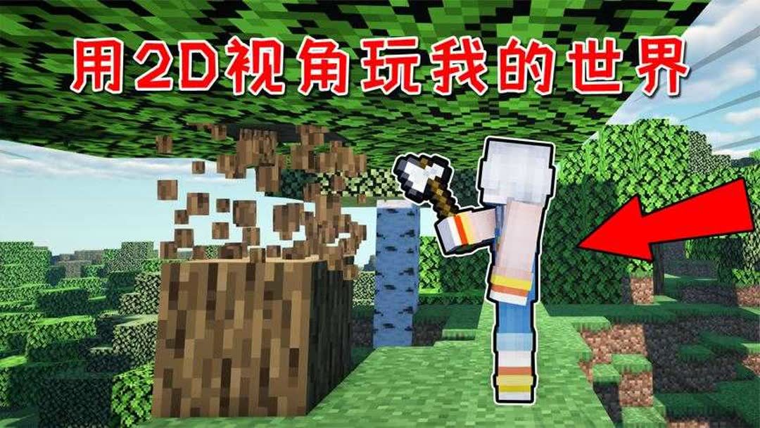 我的世界:教你如何使用2D视角玩mc,在任何地图都可以使用!