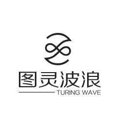 图灵波浪理论 