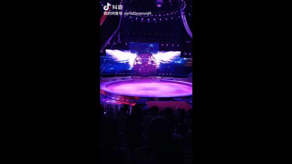 俄罗斯艺术团表演