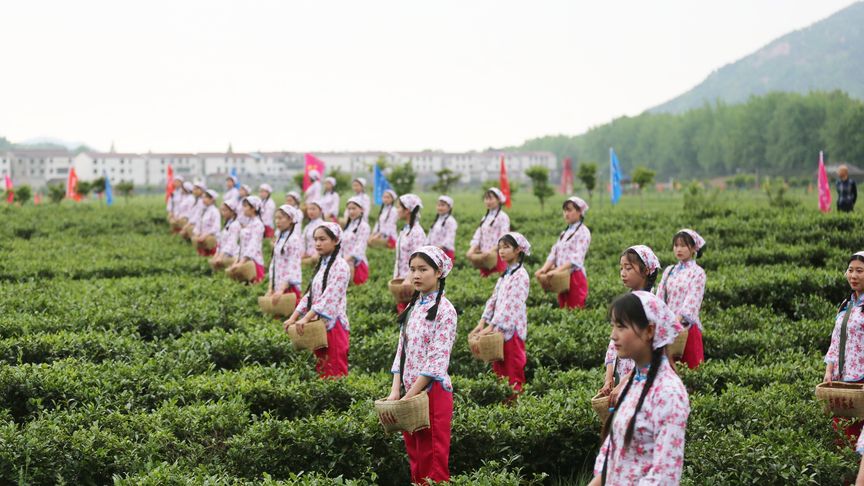 第27届湖北·英山“农商行杯”茶文化旅游节开幕