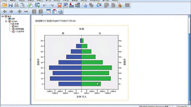 SPSS视频教程:统计图形的绘制-人口金字塔