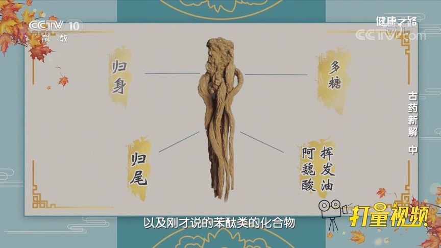 使用当归有讲究,不同的部位有不同功效,听听专家说的|健康之路