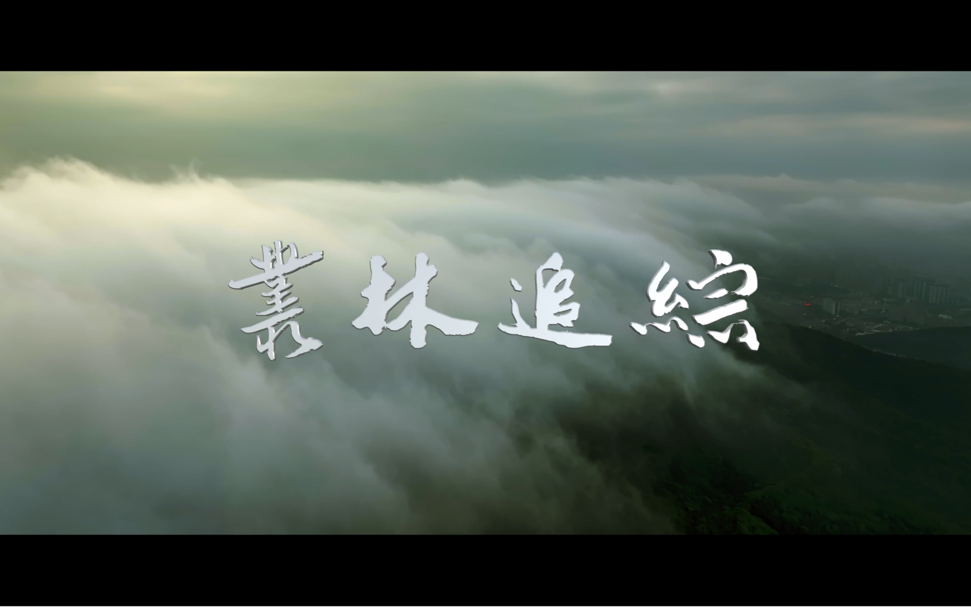 丛林追踪——把无锡惠山拍成热带雨林(佳能R5、R6)