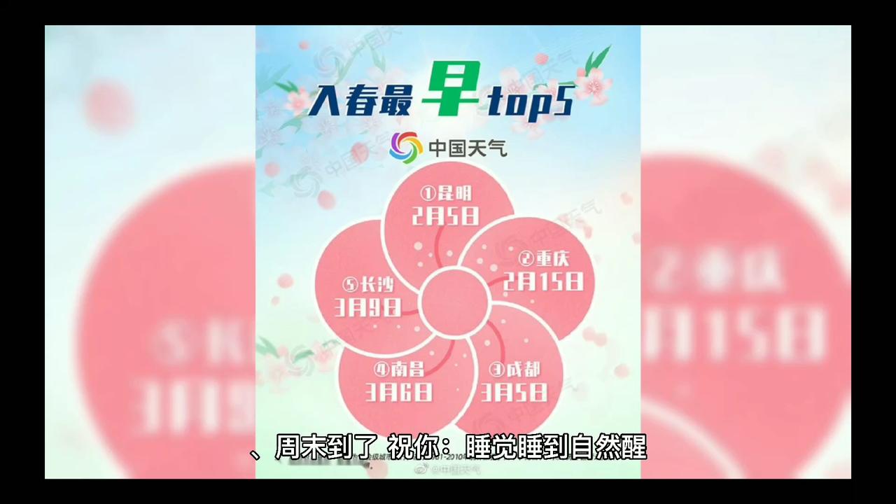 本周末活动安排如下