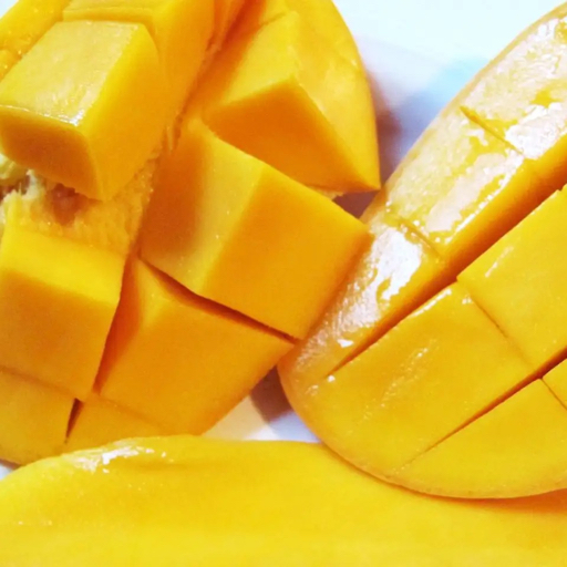 爱做梦的兔子小姐 