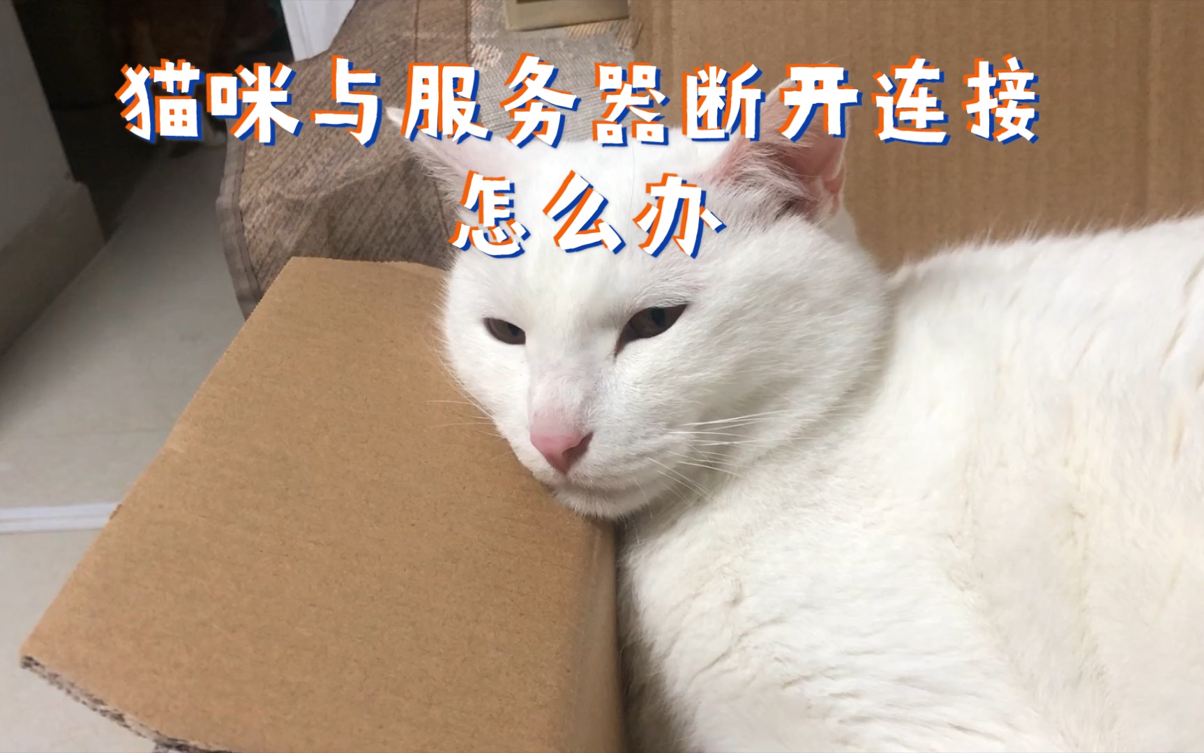 与服务器断开连接…