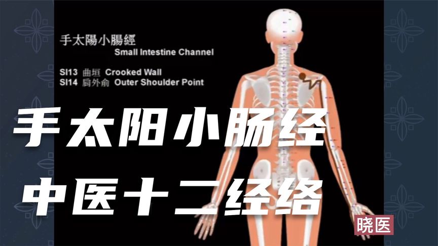 手太阳小肠经巡行路径及穴位组成;中医十二经络;腧穴;国学