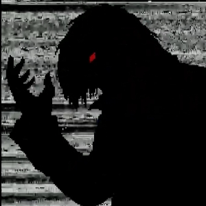 禽兽在此还不跑路 