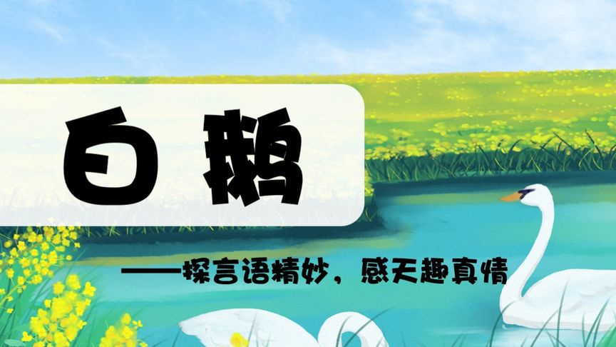 四下四单元《白鹅》,大单元教学任务群,获奖公开课。亮点如下