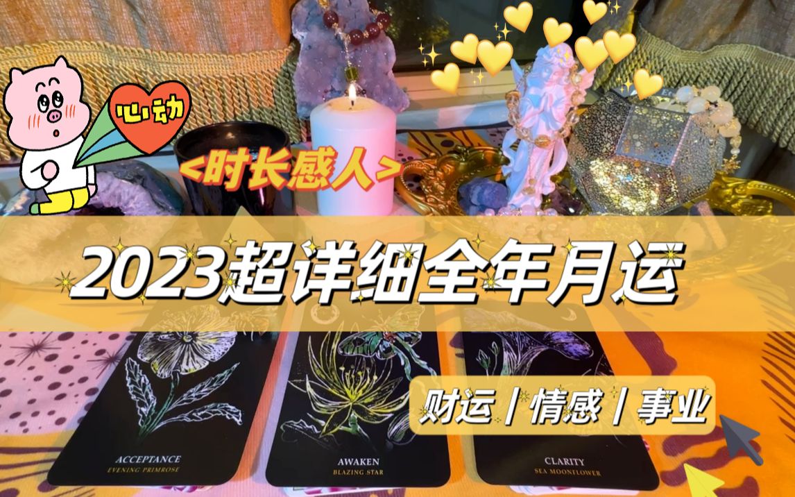 【伊心塔罗】2023超全年运综合运势(含每季度,每月,分别切牌)