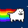 彩虹狗 