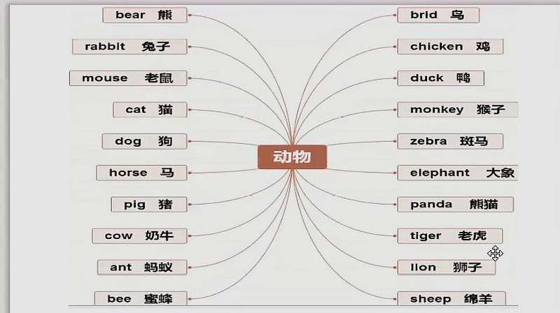 动物类动词:小学生和零基础必备,一起和我大声读!