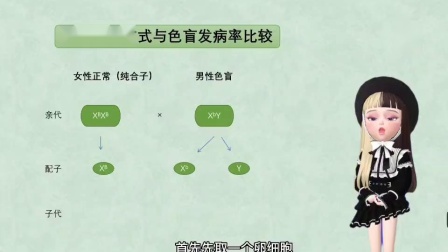 伴性遗传讲课视频