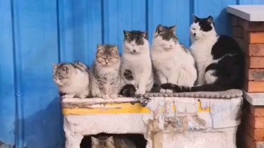 瞧着WiFi信号满格了