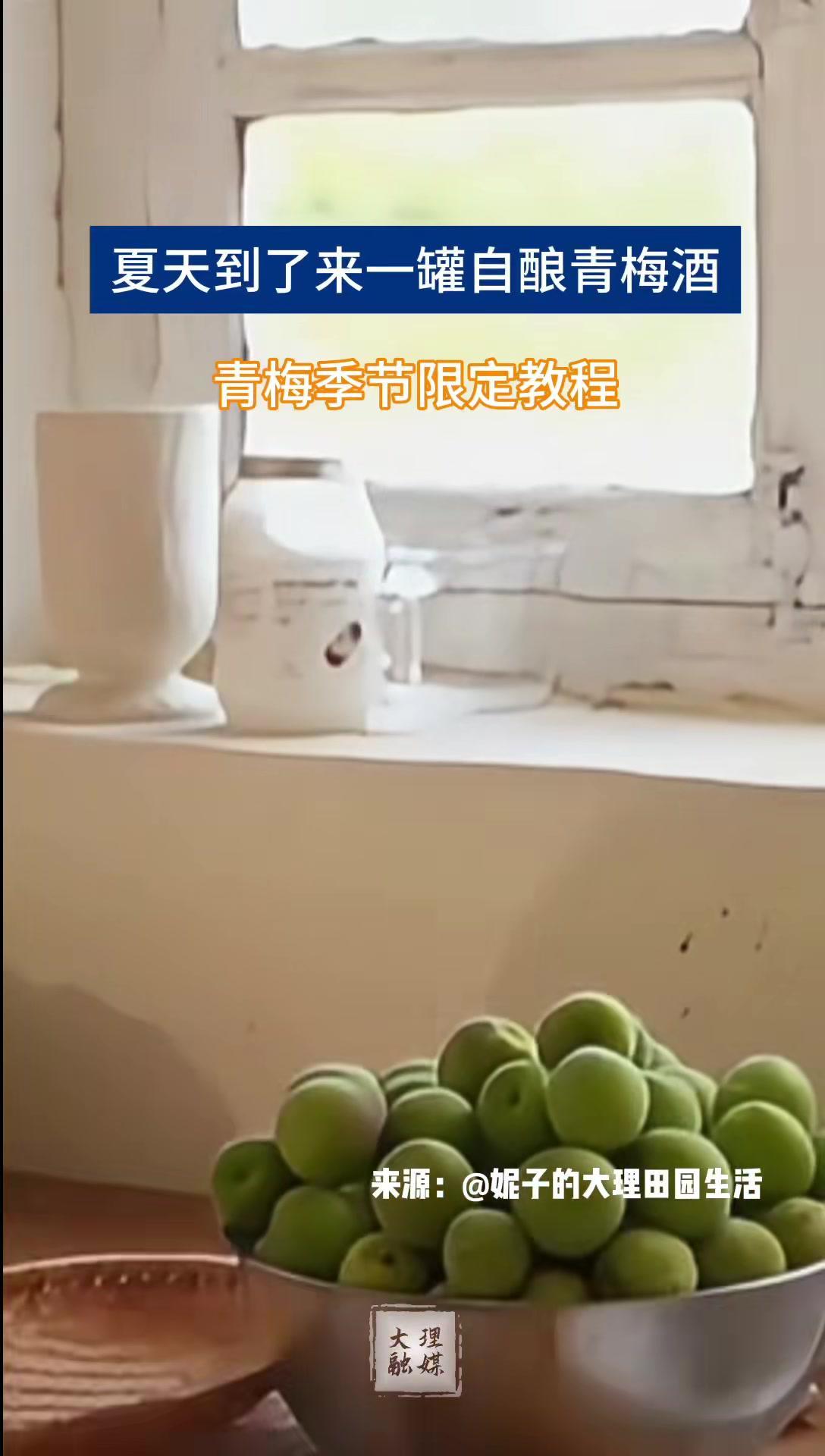 青梅季到了,青梅泡酒制作真简单还巨好喝!你确定不来试一试吗?#夏天...