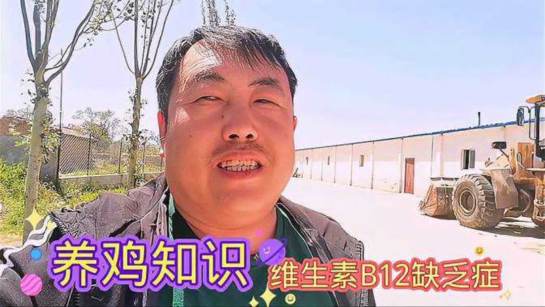 鸡的维生素B12缺乏症?听完这段视频,让您以后养的鸡更健康