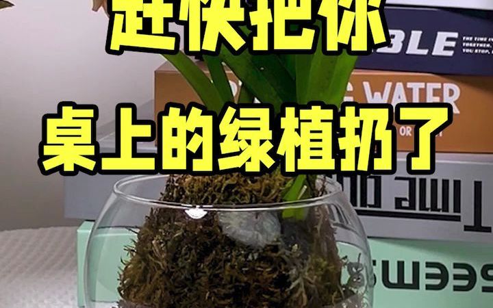 赶快把你桌上的绿植扔了