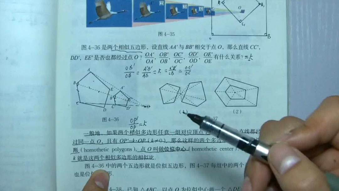 第四章8图形的位似