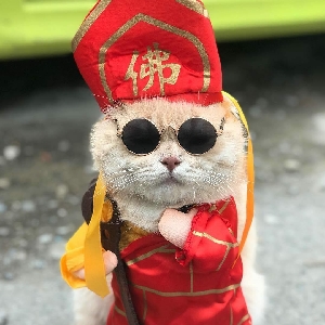 九纪君才不二次元呢 