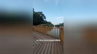 学习贯彻信访工作条例19