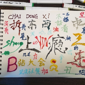 尘尘的积木世界 