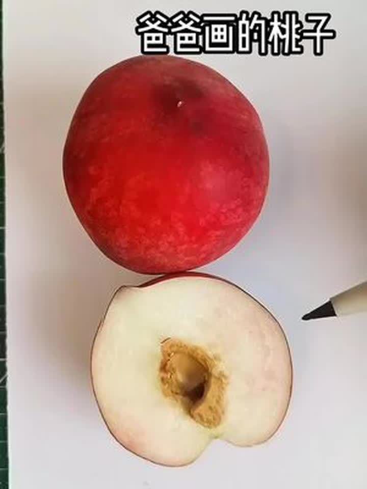 爸爸这样画桃子味道真不错 简笔画教程 +