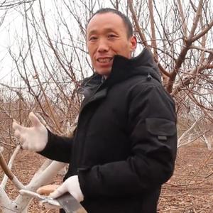 朱襄菜农 
