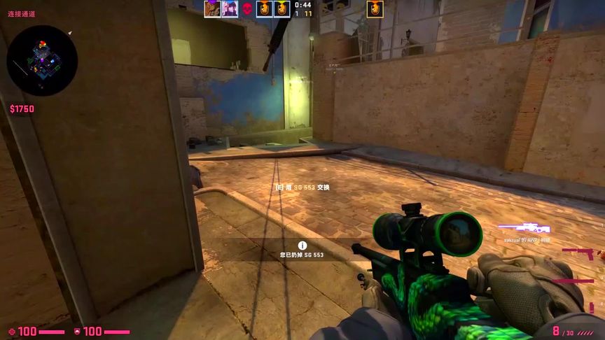 加模糊看的出来吗#csgo #白给