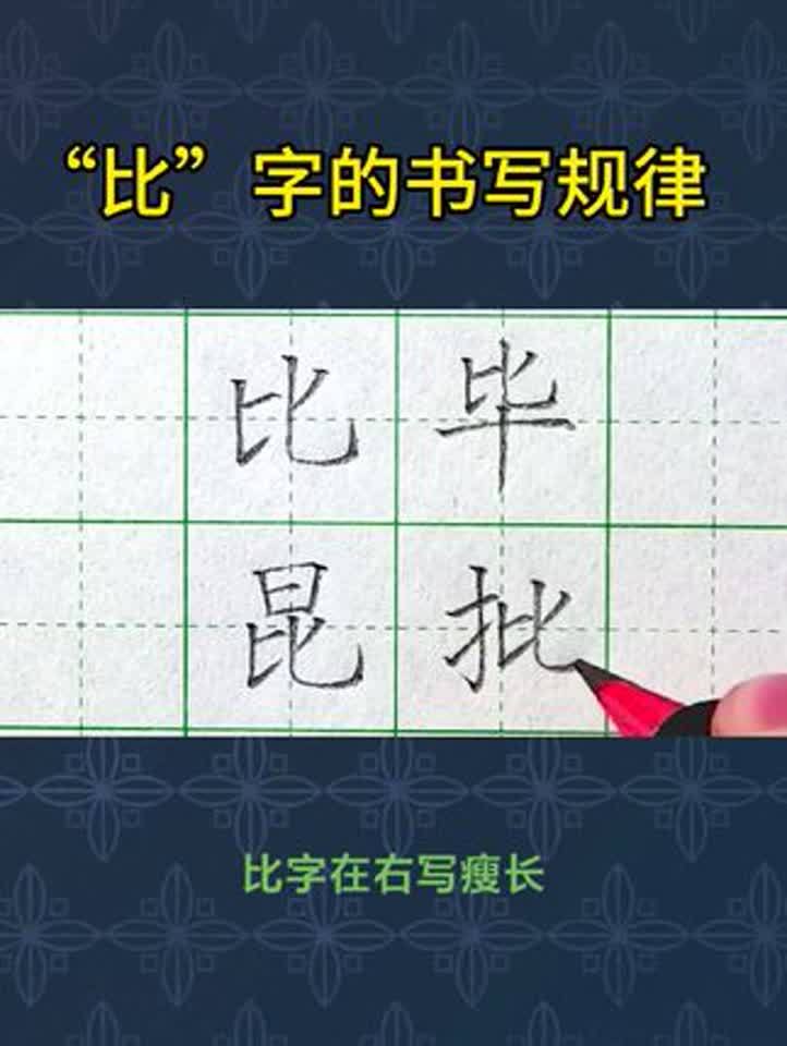 比字的书写规律小学生练字
