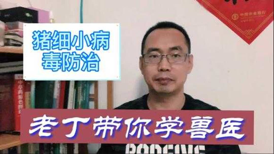 猪细小病毒病的诊断与防治措施,疫苗是关键!