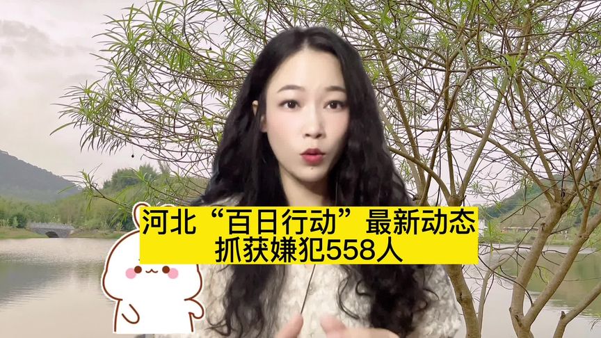 #河北百日行动开展后抓获嫌犯558人 #百日行动 @抖音小助手