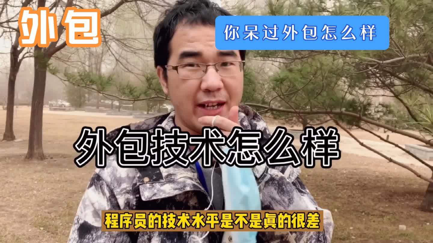 外包程序员的技术水平怎么样?增删改查?真的没那么差