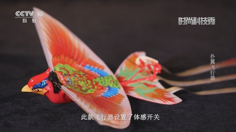 [时尚科技秀]扑翼飞行器