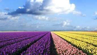 娱乐的日常故事 