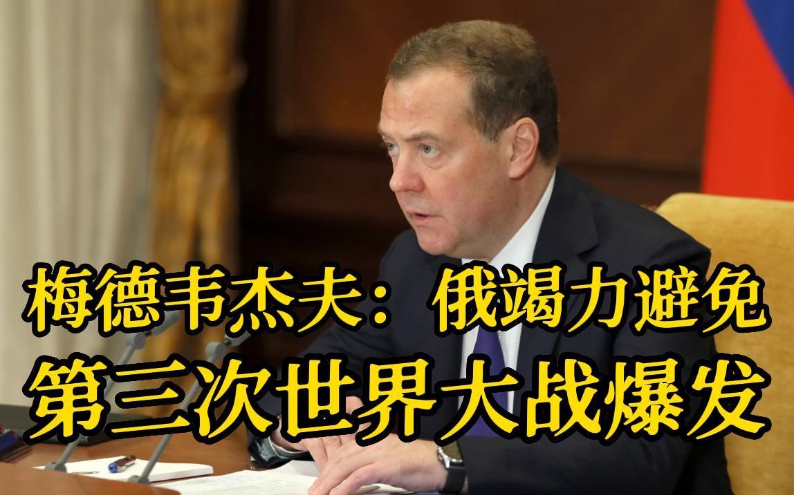 梅德韦杰夫:俄罗斯竭力避免第三次世界大战爆发