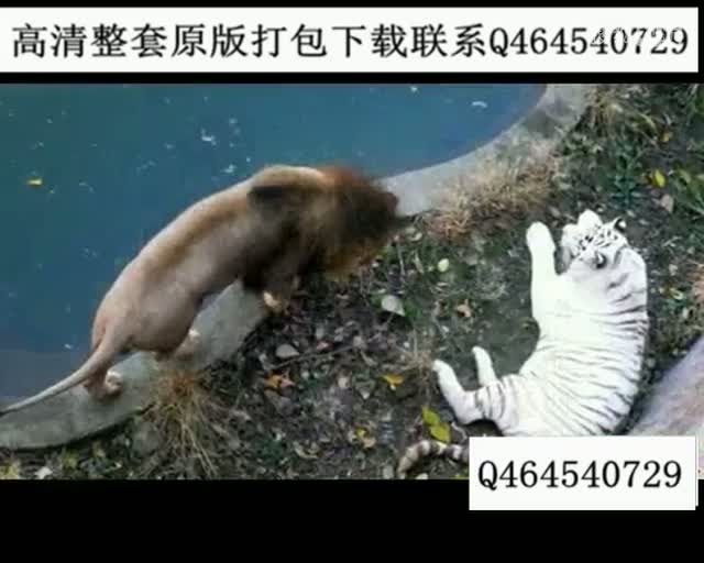 环境微生物学 郑平 浙江大学 视频教程 精品课程