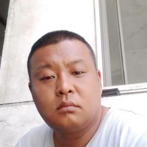 老高的创业生活 