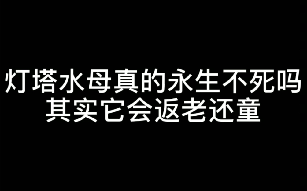 灯塔水母真的永生吗?