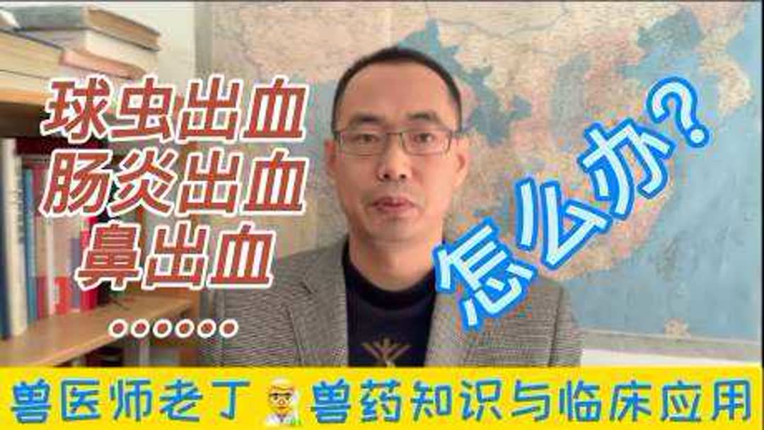 动物球虫出血,肠炎出血,鼻出血怎么办?有哪些止血药?