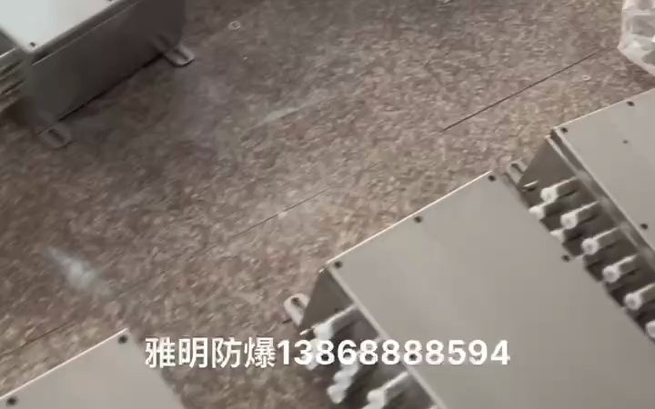 不锈钢防爆接线箱电控箱仪表控制箱