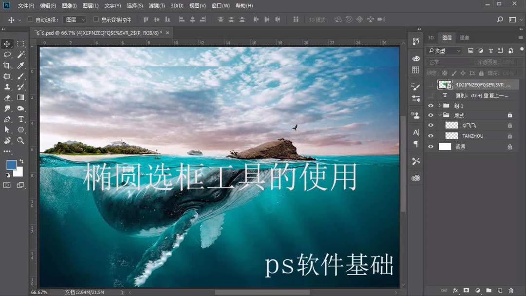 平面设计基础-ps软件基础 如何使用椭圆选框工具 (2)