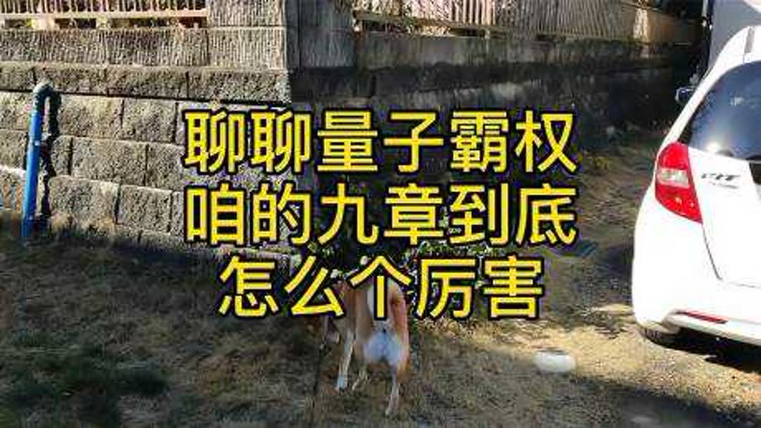 老晒在日本农村,我国量子计算机领先,到底有多大意义,简单聊聊