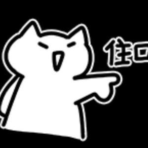 小陪解说 