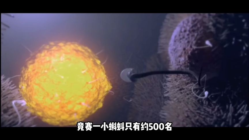 生命的诞生过程原来这么神奇